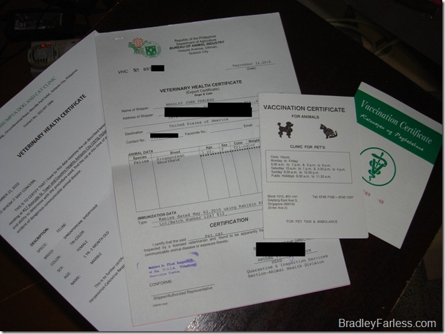 Getting an Export Permit from the Philippines BAI for Marble – Bradley ...